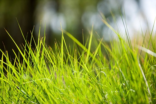 Process Flow Node as Container Test Suite